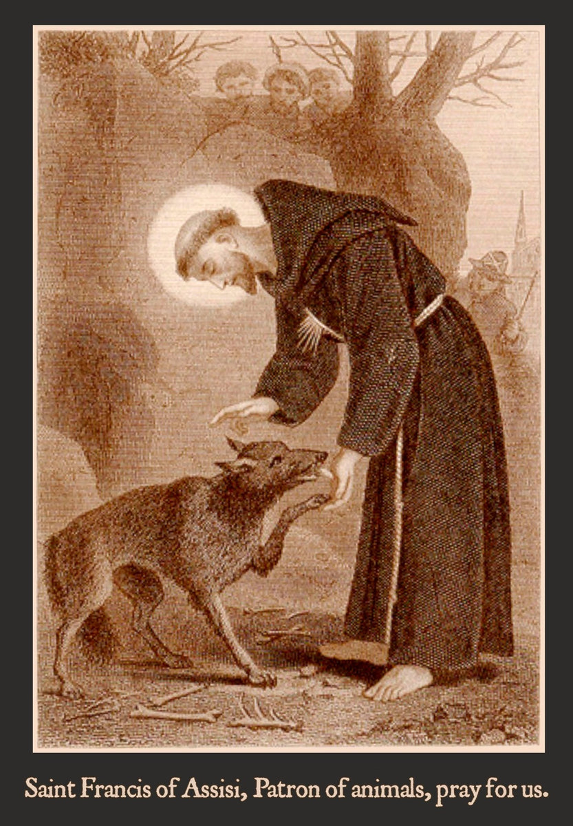 St. Francis of Assisi with the wolf of Gubbio T-Shirt – Catholicamtees